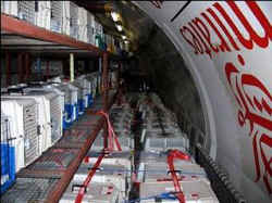 Miss PoPsicle and the War in Syria - An Animal Rights Article from all ...