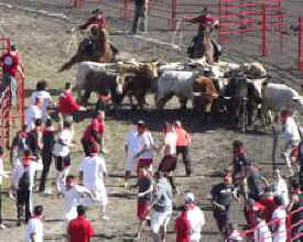 Dangerous and Cruel Bull Run Vows Never to Return to California - An ...